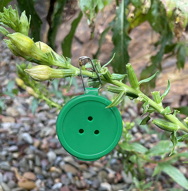 Clip On "Hang Hide" Containers